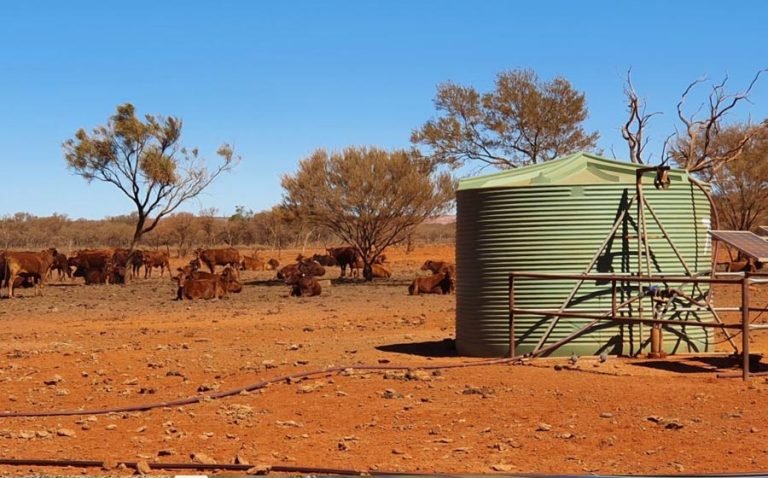 Choosing the Right Liquid Storage Solution for Your Business - QuikForce