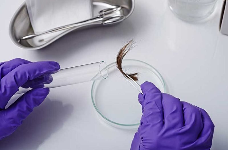 Hair Follicle Drug Test: The Root of Accurate Screening - QuikForce